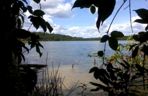 Parque Estadual do Rio Doce - ParqueEstadual.com