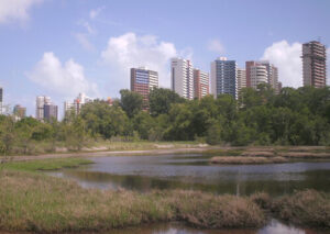 Parque Estadual do Cocó - ParqueEstadual.com